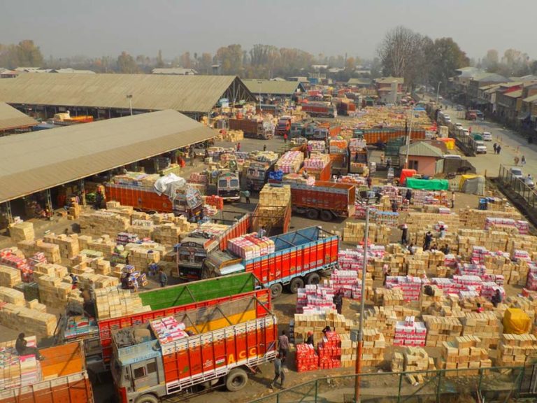 All you need to know about asias largest wholesale market azadpur mandi